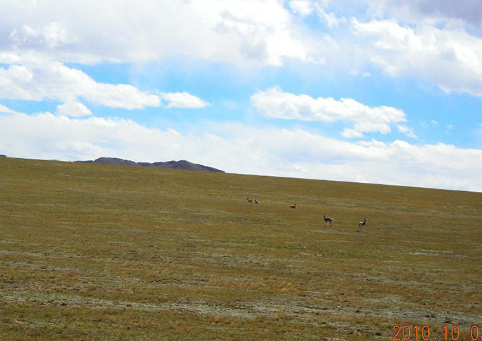 Grand Ngari Nortern Route, 2023 Ngari Tour Package-Tibet Odyssey Tours